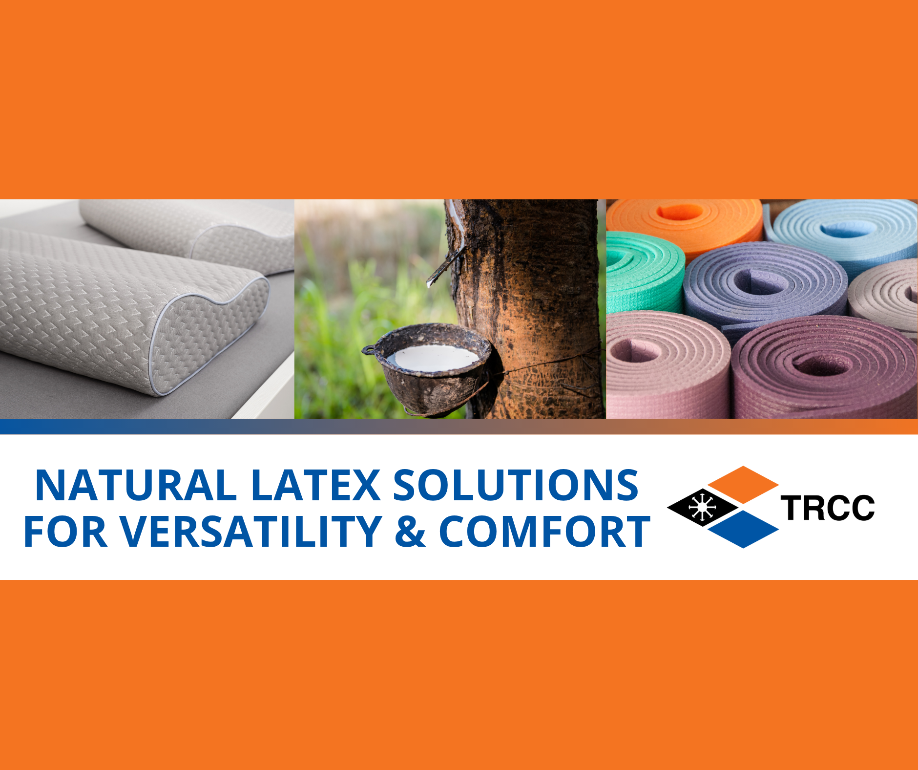 Discover Natural Latex Solutions for Sustainability & Comfort - TRCC